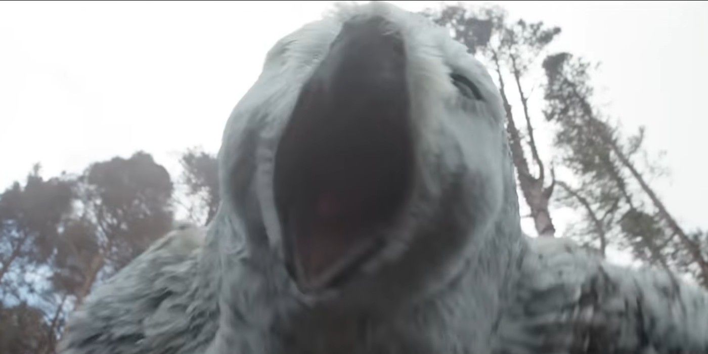 Dungeons & Dragons – 2023 | mrfusion.org